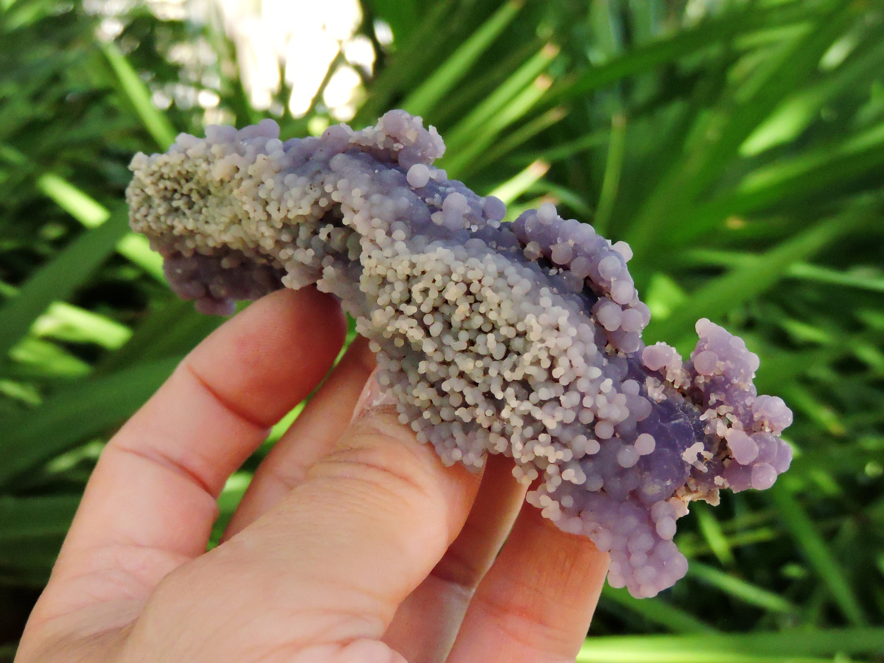 Botryoidal Purple Chalcedony (“grape Agate”) – Indonesia | Gemmy ...