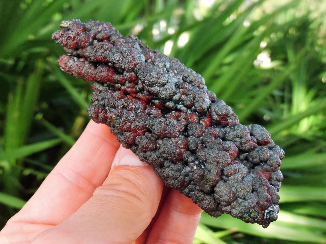 Botryoidal Goethite “grape Goethite” – 4.3” / 193g Iron Oxide Mineral ...