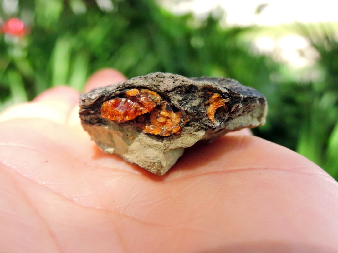 Austrian Amber 1.3 Inch 10gm Healing Crystals Rocks & Geodes Birthstone ...