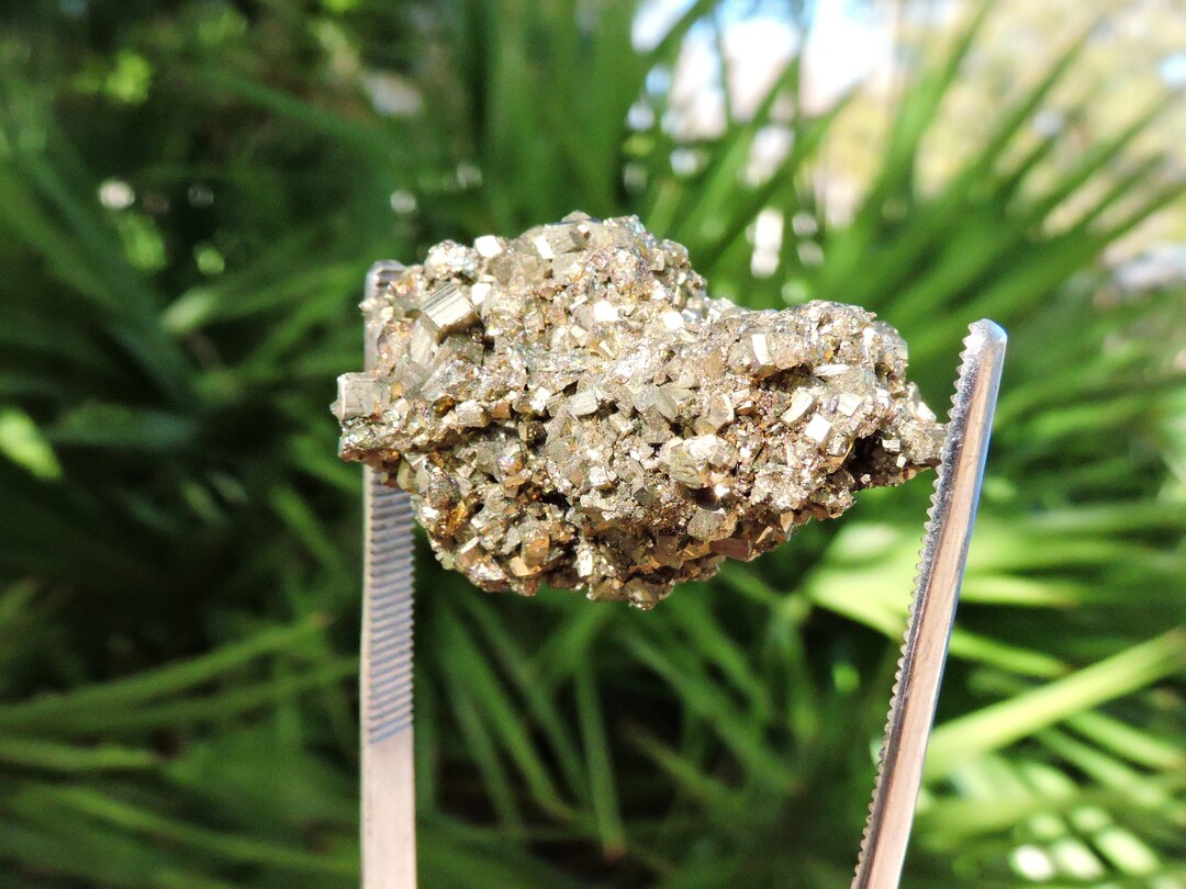 Pyrite Cluster From Spain, 1.5 Inch 38gm Stone Raw Store Shop Mineral ...