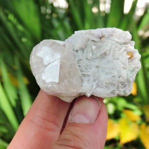 Morganite Albite With Microlite Specimen 2 Inch 89gm Natural Stone ...