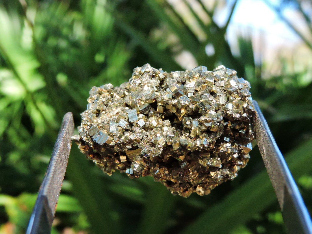 Pyrite Cluster From Spain, 1.4 Inch 36gm Stone Raw Store Shop Mineral ...