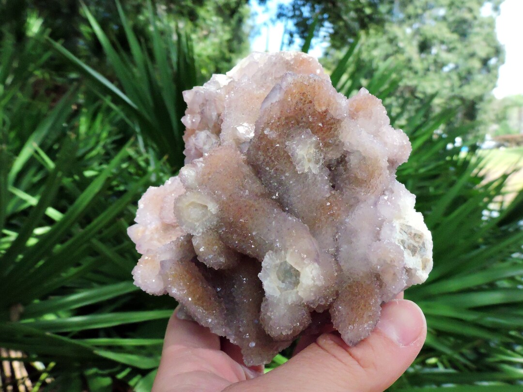 Spirit Cactus Quartz 4 742g Rocks & Geodes Rocks and Minerals Crystal ...