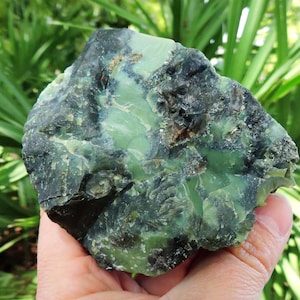 RARE Nephrite Jade With Pyrite | 3.6 Inches 626g (unique Find / From ...