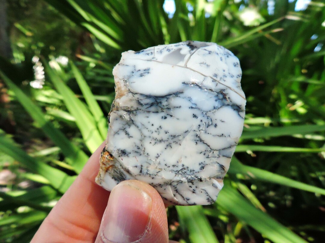 Dendritic White Opal Small Size 2.5 Inch 56g unique Find / From ...
