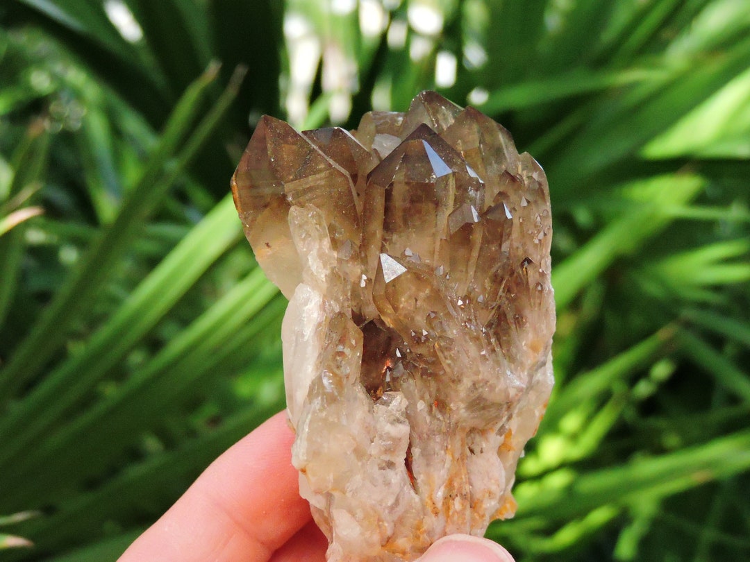 Honey Citrine Specimen Medium Size 3.1 Inch 212g unique Find/ From ...