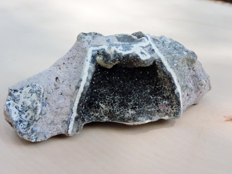 Agatized Fossil Coral With Druzy Quartz — Florida State Stone ...
