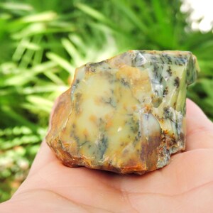 Dendritic Opal With Fern-like Patterns Small Size 2.5 Inch 84g unique ...