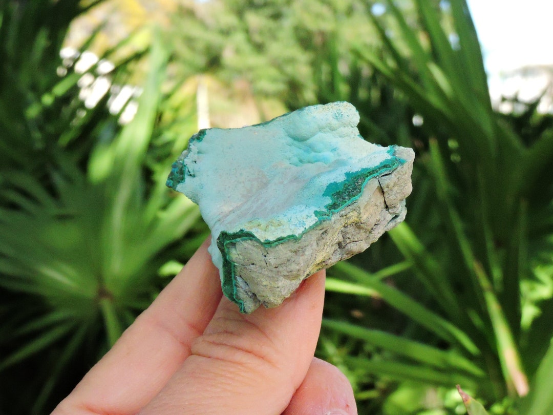 Botryoidal Chrysocolla Minerals , 2" Inch 10gmrare Stones Rocks and ...