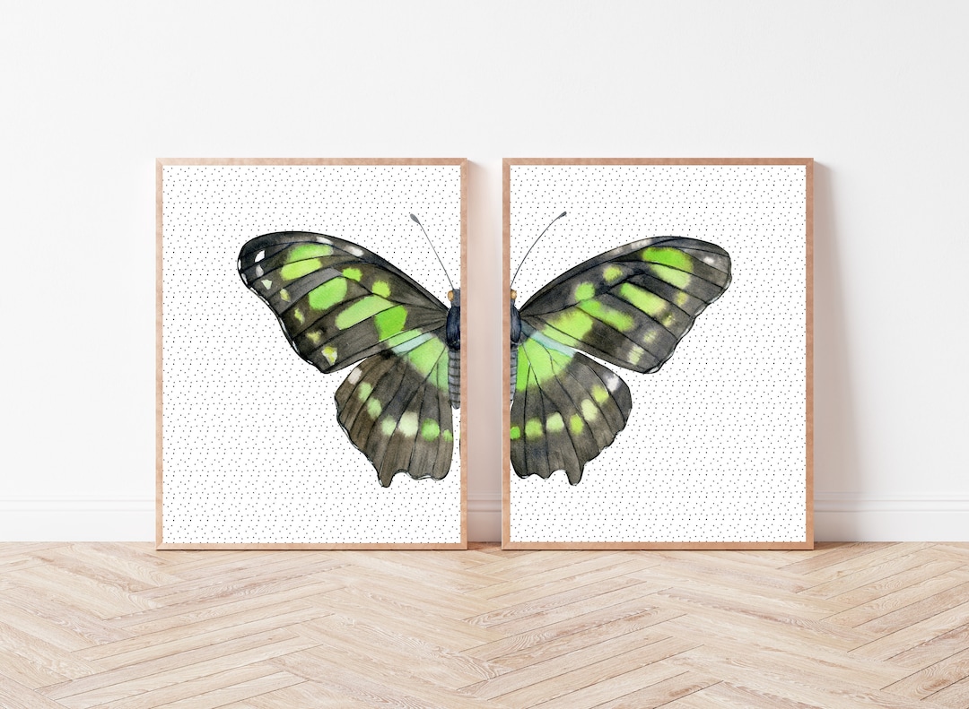 Butterfly Print, Green Butterfly Print, Butterfly Art 8x10 - Etsy