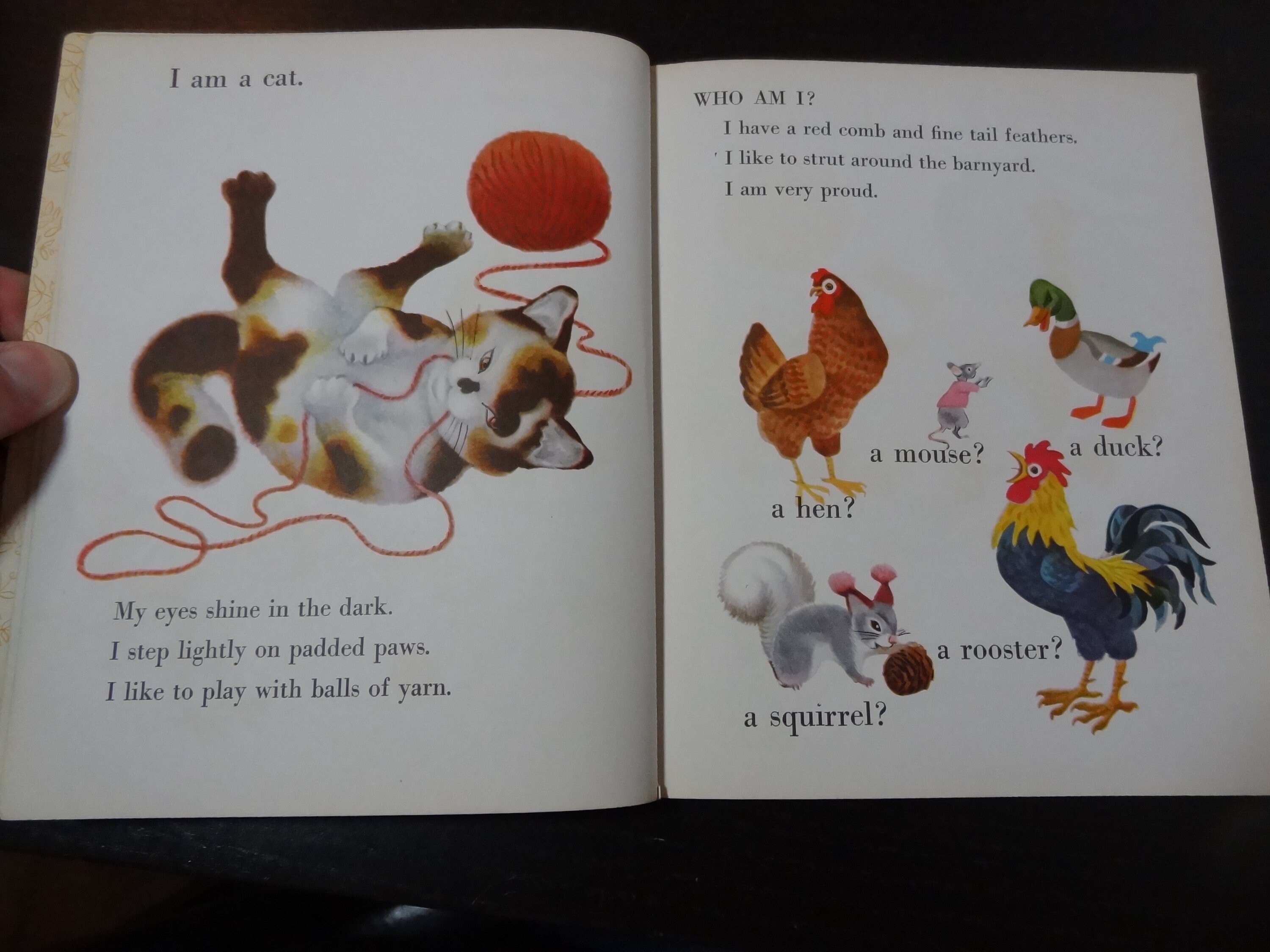 What Am I?, A Picture Quiz Book, by Ruth Leon - Copyright 1949 First ...