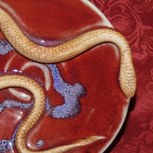 Unique Enameled Snake Plate Low Bowl Hand Painted Heavy Pottery Clay ...