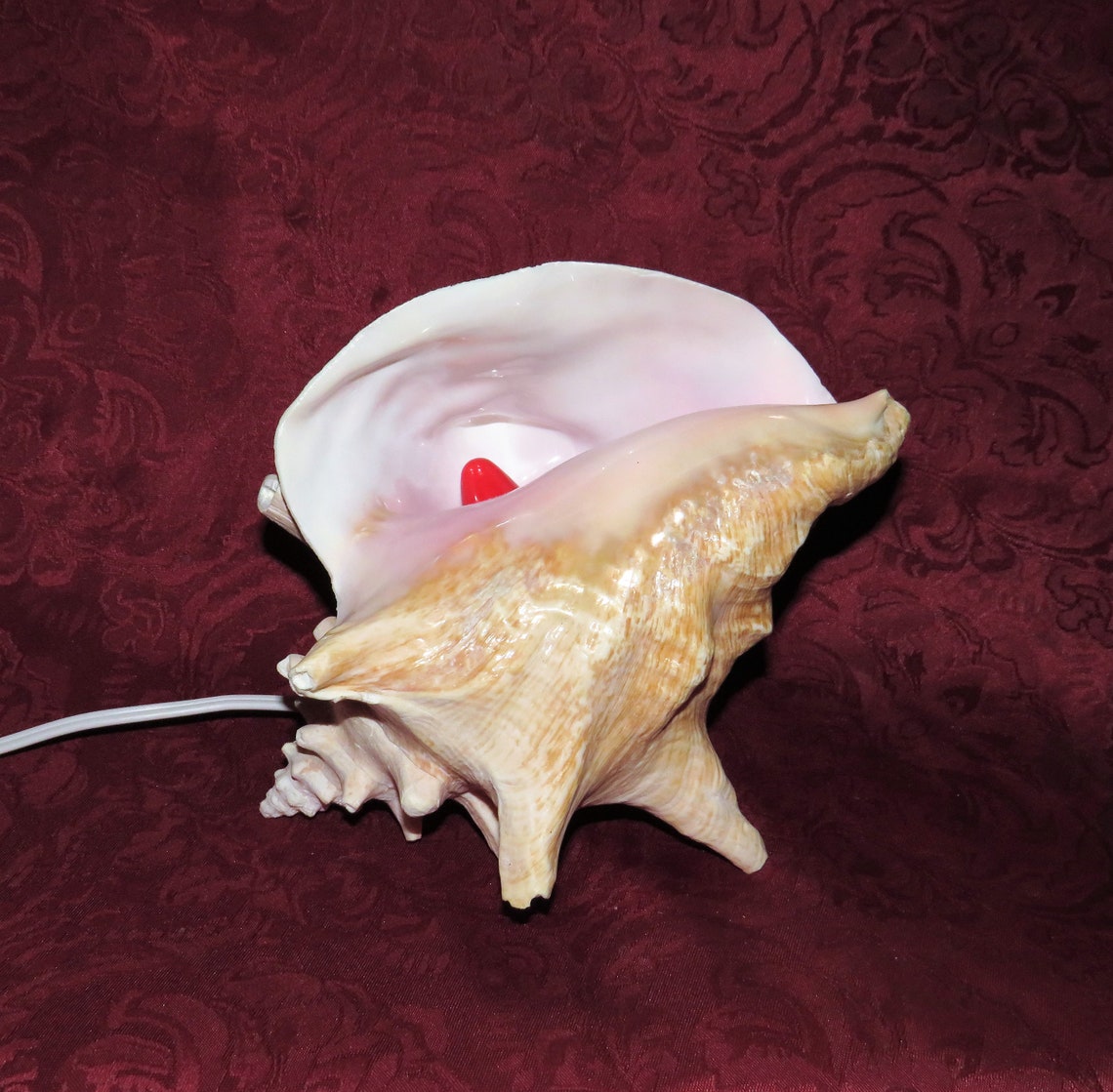 Large Pink Conch Shell Night Light... Beautiful Glow - Etsy