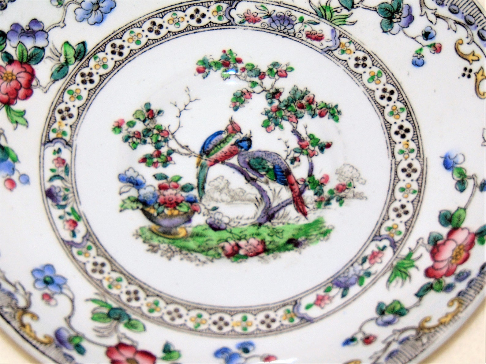 Copeland Spode England Cup and Saucer eden Pattern - Etsy