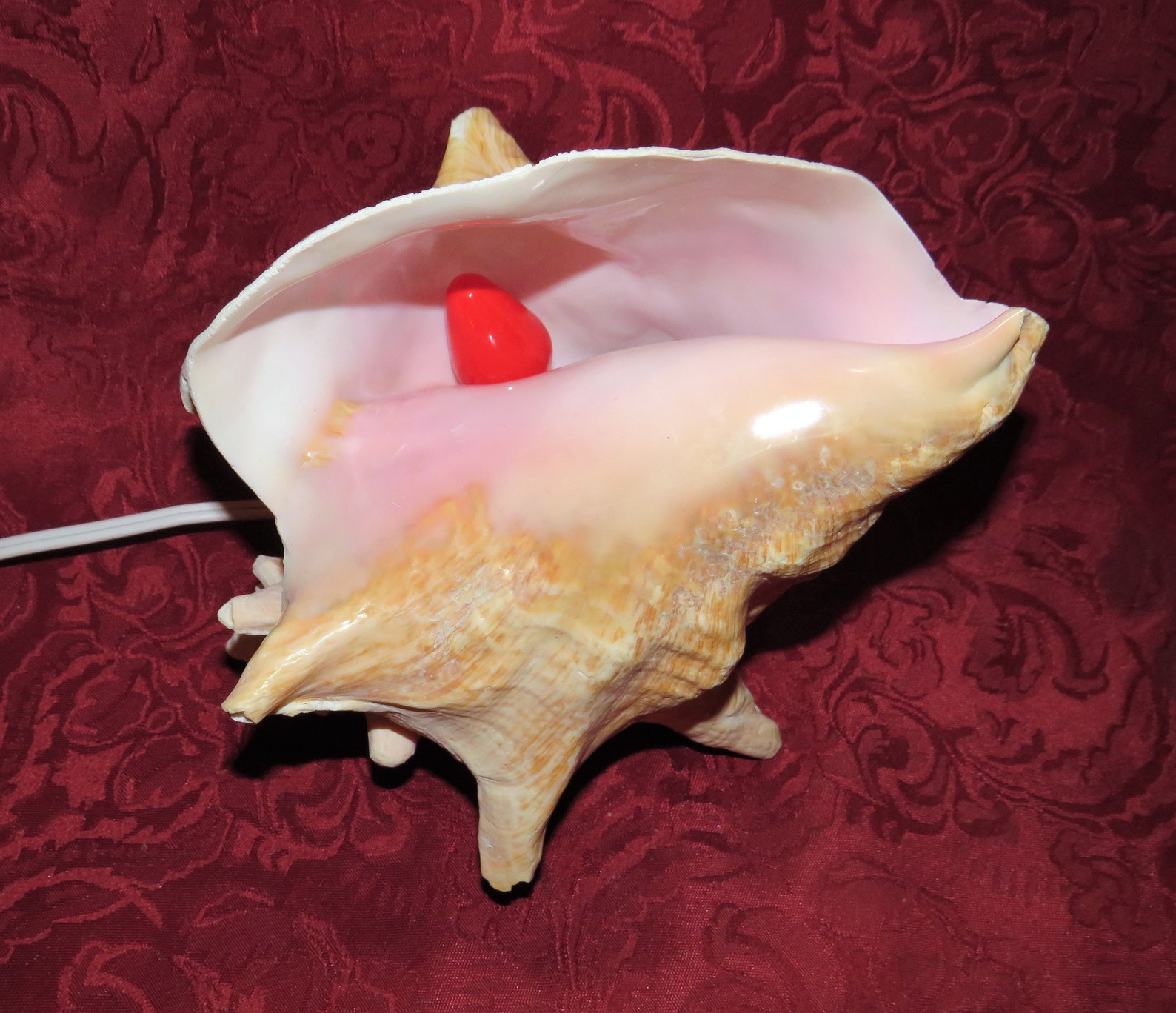 Large Pink Conch Shell Night Light... Beautiful Glow - Etsy
