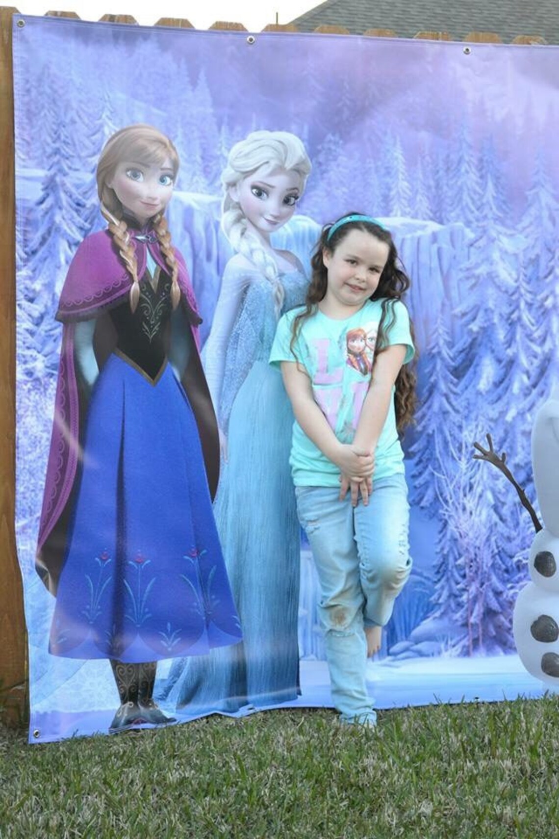6x6 FT 72x72 Frozen Elsa BACKDROP Banner - Etsy