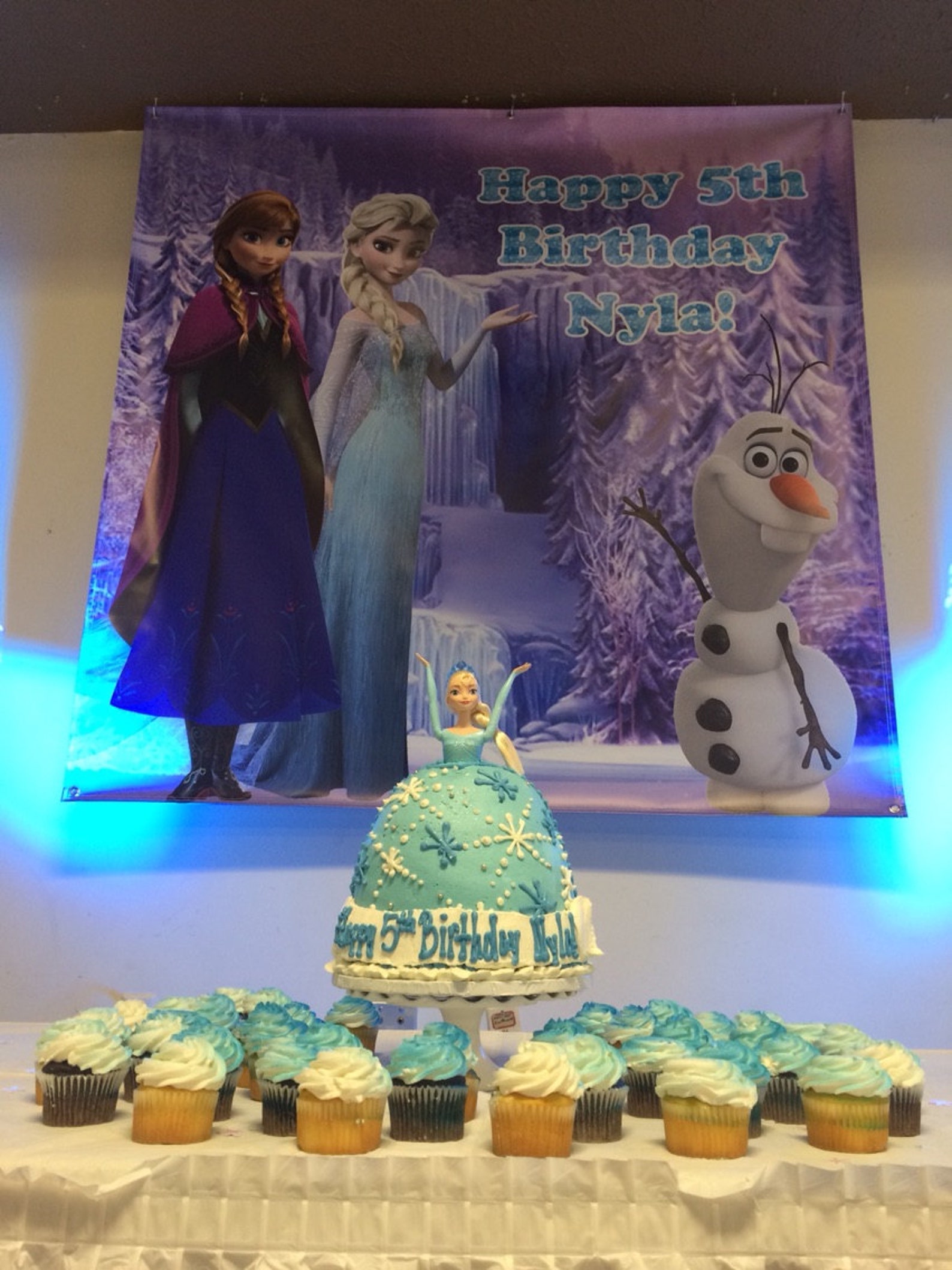 6x6 FT 72x72 Frozen Elsa BACKDROP Banner | Etsy