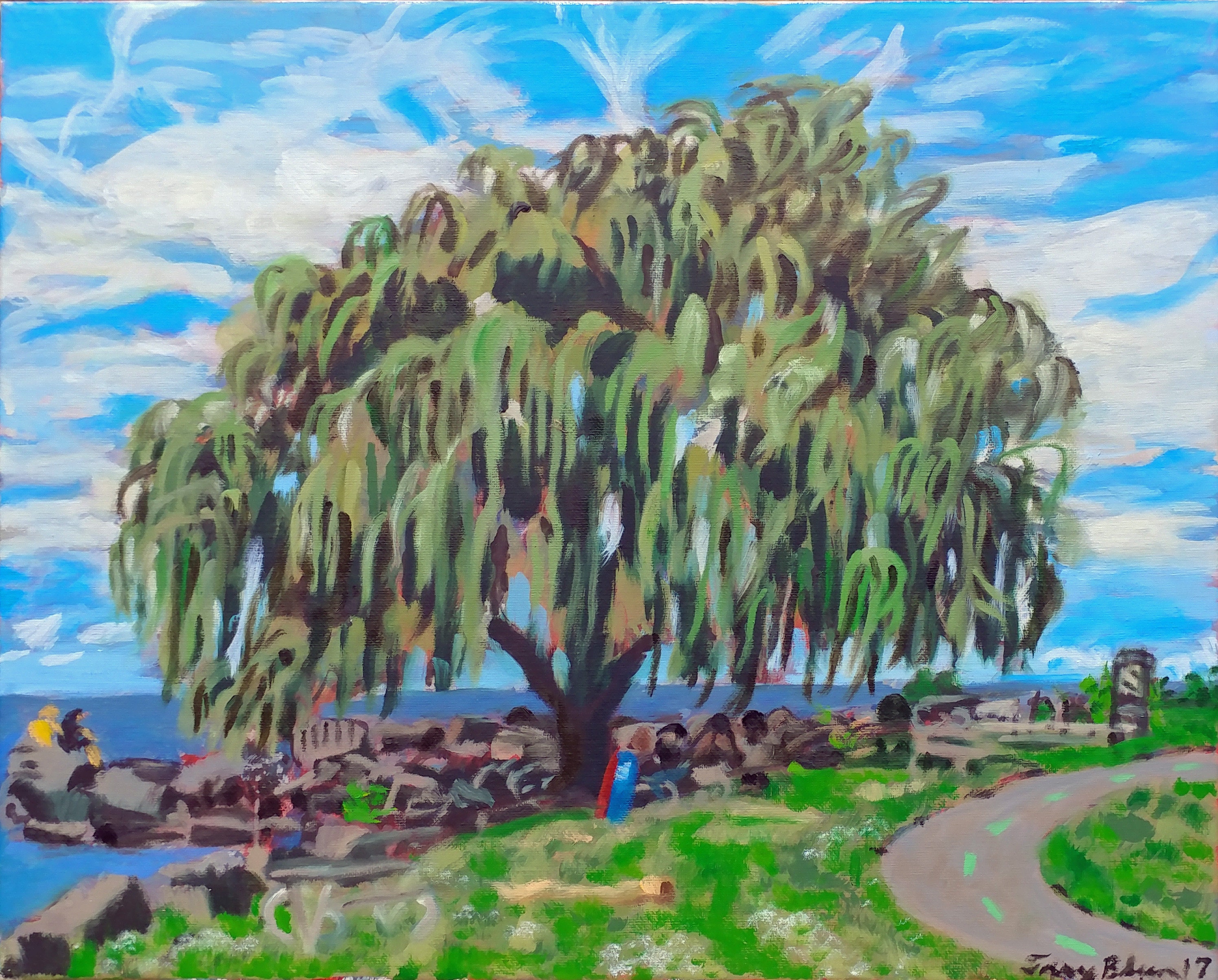Willow Tree at Edgewater Park - Etsy