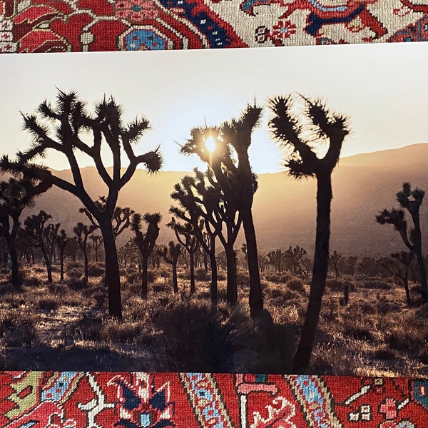 Joshua Tree Metal Wall Art - Etsy