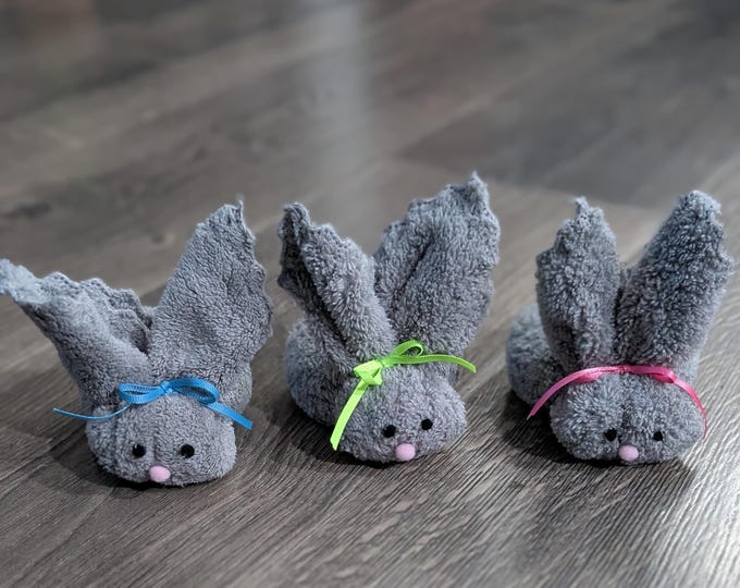 WASHCLOTH BUNNY for Little Boo Boos With Poem and Reusable Ice Cube ...