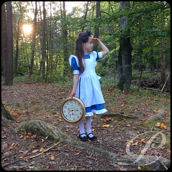 Alice Costume - Etsy