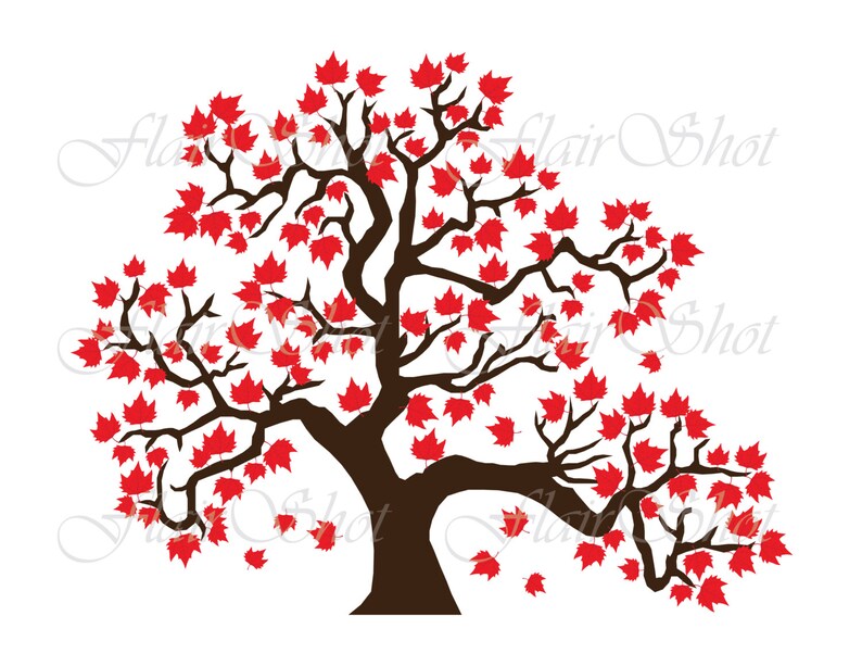 Maple Tree SVG, Maple Leaves, Digital Clip Art, INSTANT DOWNLOAD - Etsy