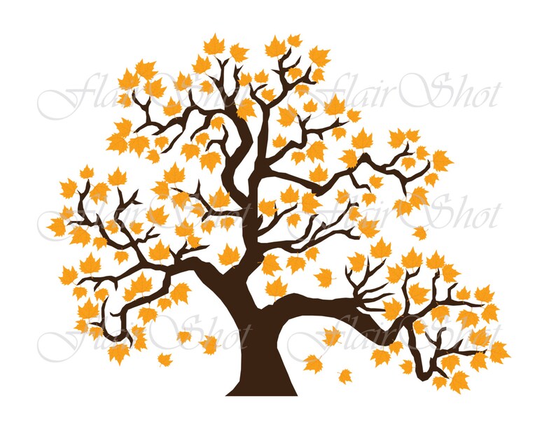 Maple Tree SVG, Maple Leaves, Digital Clip Art, INSTANT DOWNLOAD - Etsy