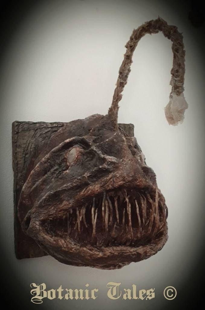 Angler Fish Trophy Lantern-faux Taxidermy-abyss Creature Wunderkammer ...