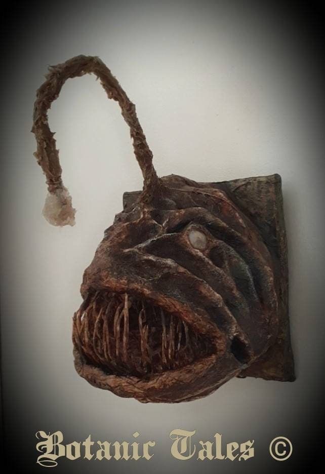 Angler Fish Trophy Lantern-faux Taxidermy-abyss Creature- Wunderkammer ...