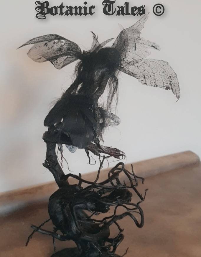 Flesh-burrowing Faerie Root Fairy Dried Botanicals | Etsy UK