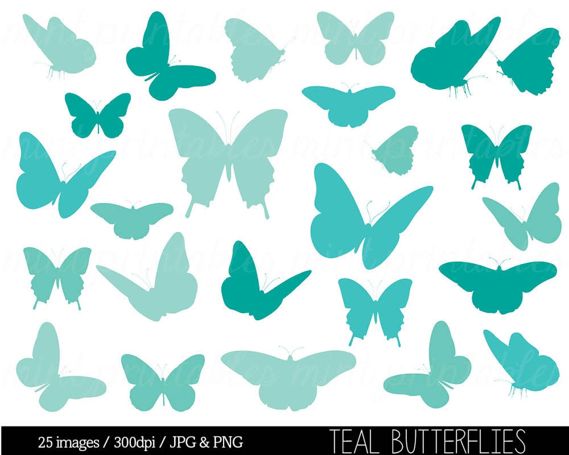 Butterfly Clipart Teal Green Butterfly Clip Art Mint - Etsy