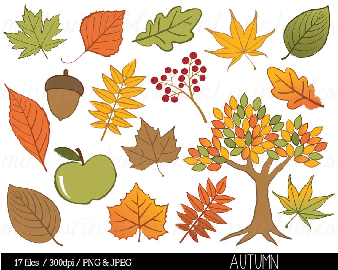 Autumn Clipart Leaf Tree Clip Art Oak Acorn Leaves Colors - Etsy
