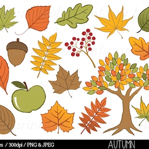 Autumn Clipart, Leaf Tree Clip Art, Oak Acorn Leaves Colors Maple ...