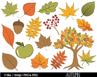 Autumn Leaf Clipart Fall Leaves Clip Art Thanksgiving | Etsy