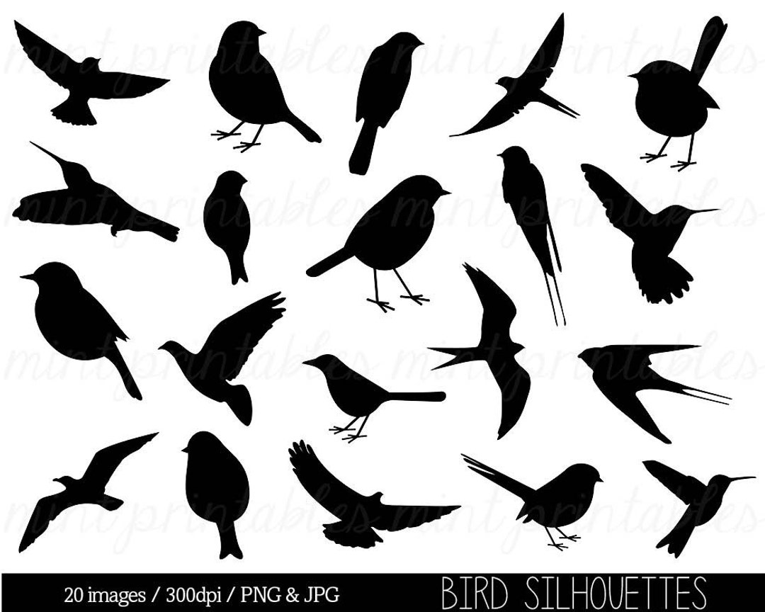 Bird Clipart Clip Art, Bird Silhouette Clipart, Cute Bird, Animal ...