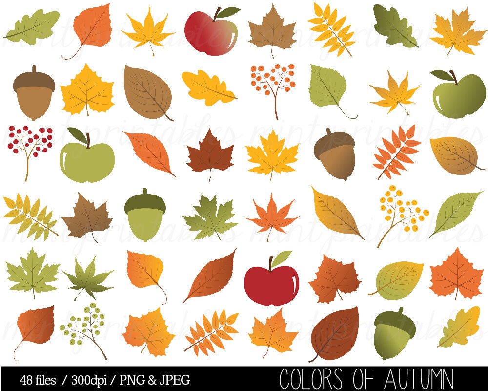 Autumn Leaf Clipart, Fall Leaves Clip Art, Thanksgiving, Branches ...