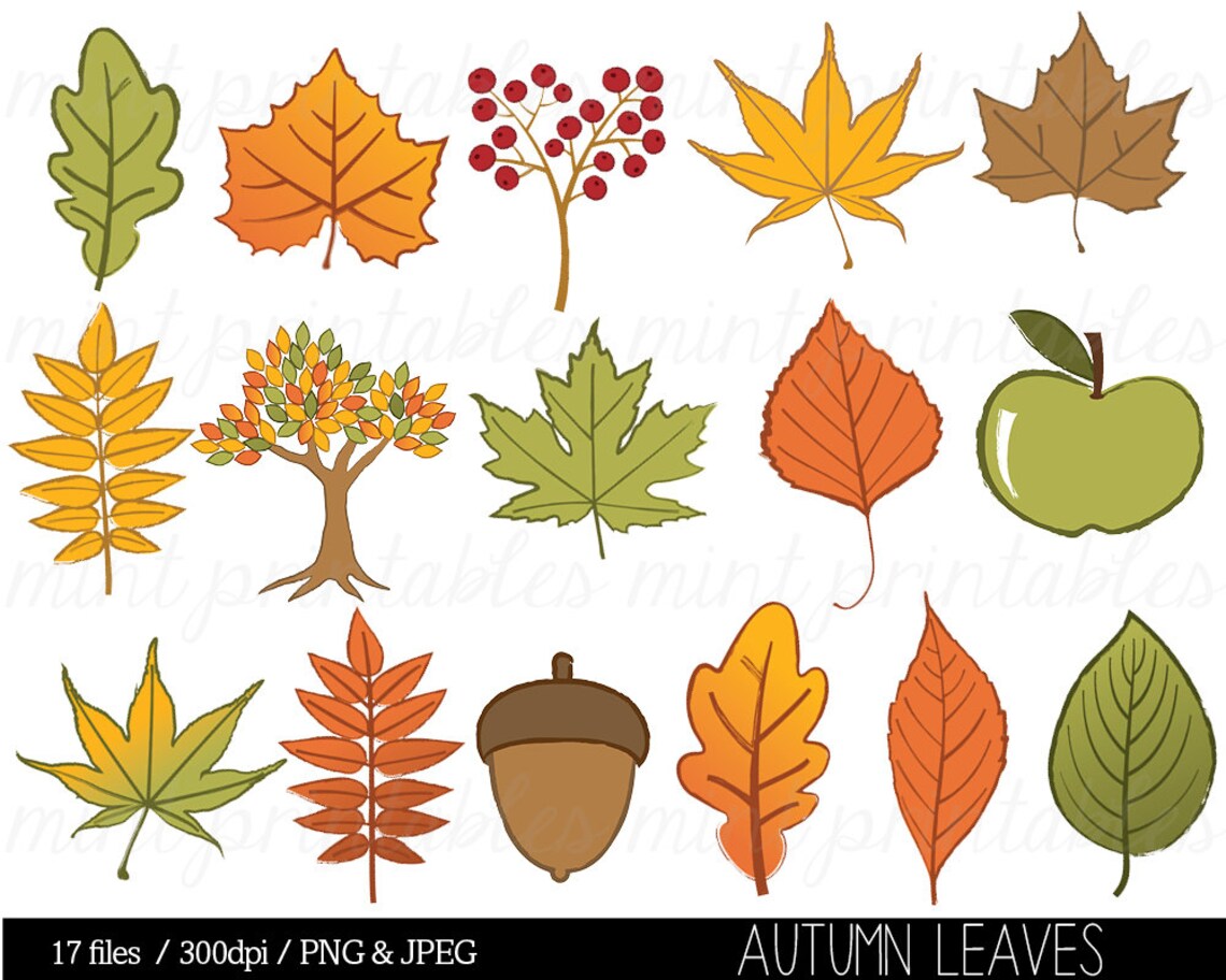 Autumn Clipart Leaf Tree Clip Art Oak Acorn Leaves Colors - Etsy