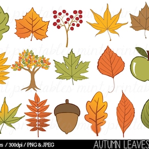 Autumn Clipart, Leaf Tree Clip Art, Oak Acorn Leaves Colors Maple ...