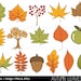 Autumn Clipart, Leaf Tree Clip Art, Oak Acorn Leaves Colors Maple ...