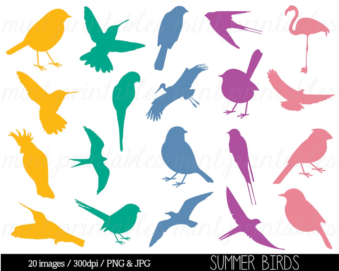 Bird Clipart Clip Art, Bird Silhouette Clipart, Colored Bird, Animal ...