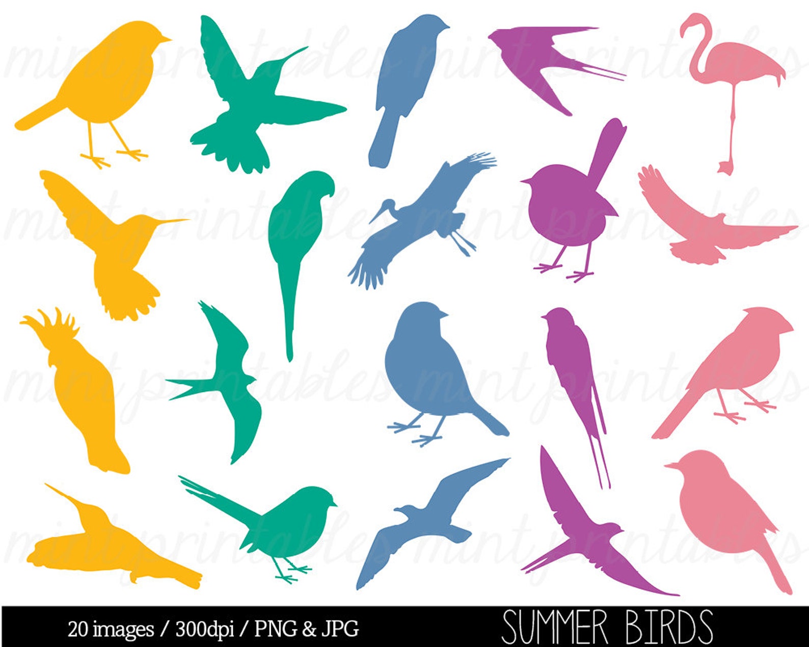 Bird Clipart Clip Art Bird Silhouette Clipart Colored Bird - Etsy