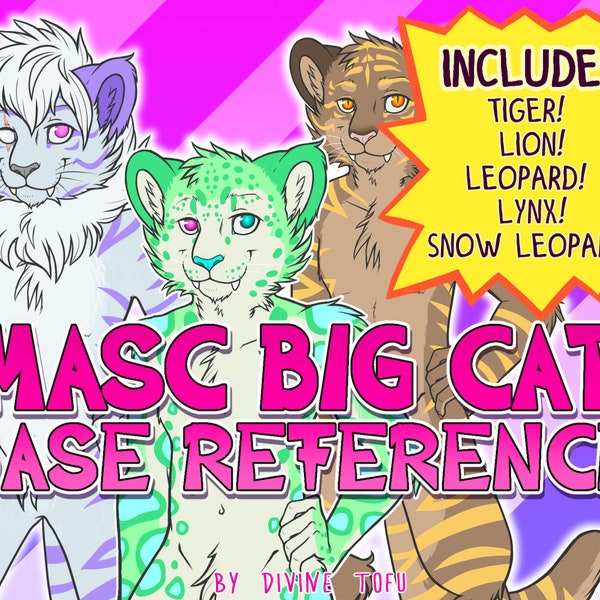 Furry Cat Reference Sheet - Etsy