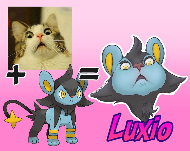 Pokemon Meme Cats Matte Vinyl Sticker Set - Etsy