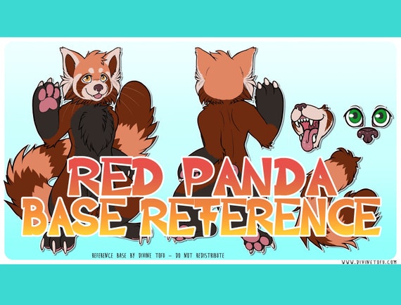 Red Panda Base Reference Sheet Male/female Anthro Furry Art - Etsy India
