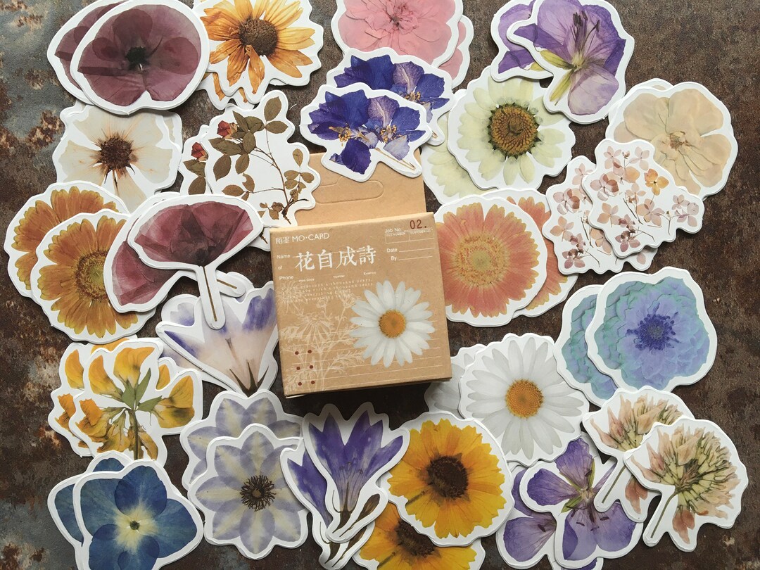 Dried Flowers Stickers to Decorate Your Art Journal, Sticker Box With ...