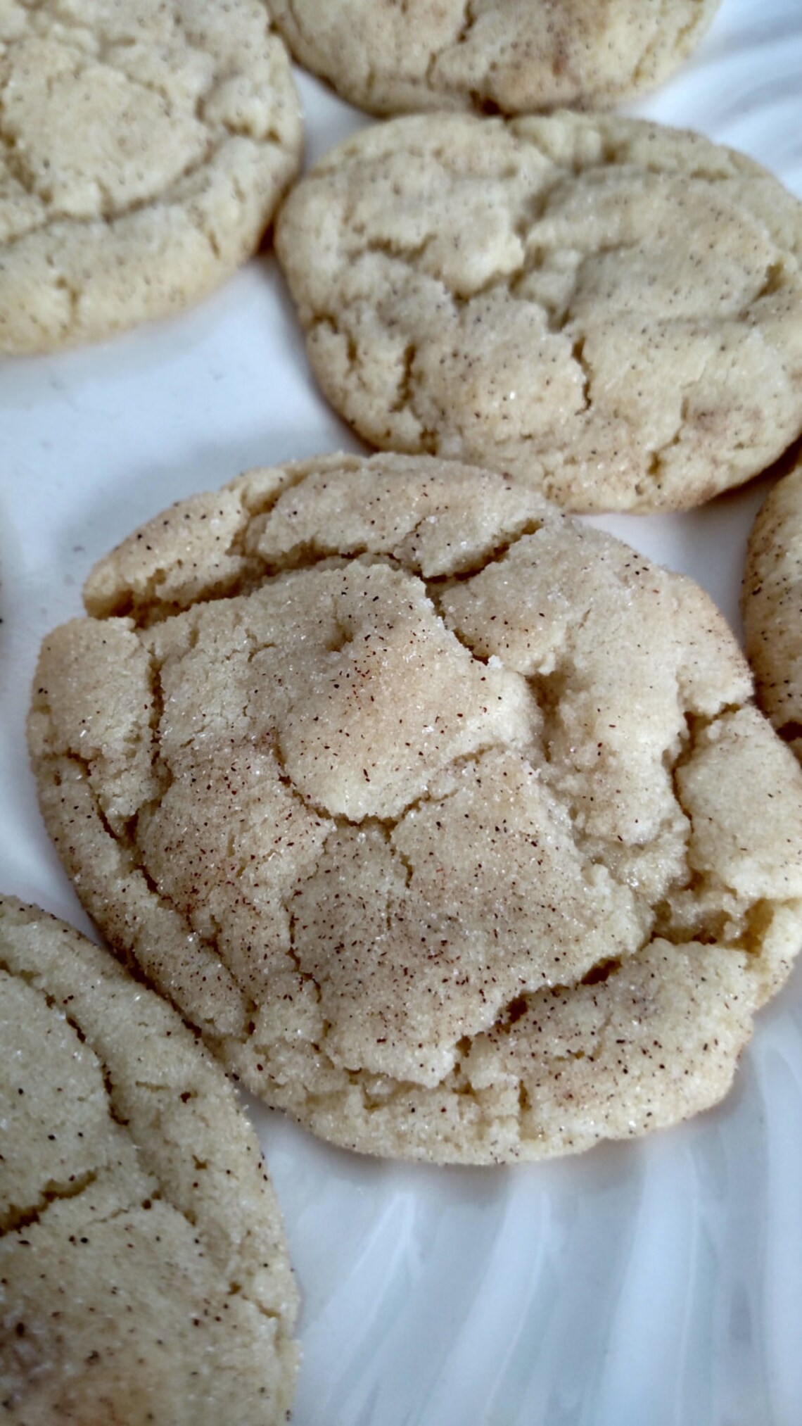 Snickerdoodles 12 Cinnamon Sugar Cookies Chewy and Sweet - Etsy