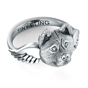 Akita Angel Wings Memorial Ring for All Pet and Animal Lovers - Etsy