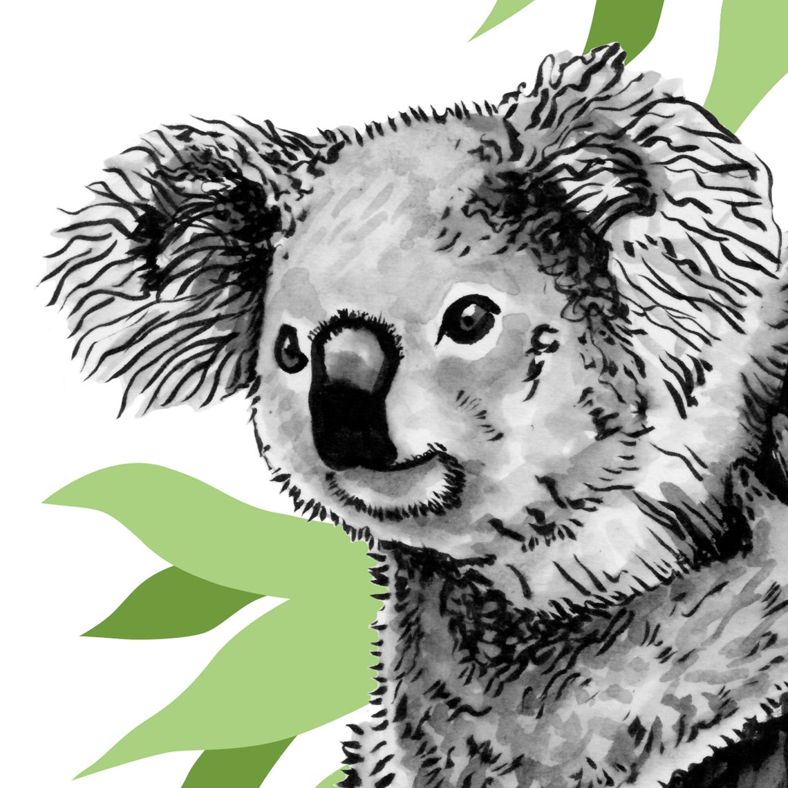 Koala Print Koala Illustration Australian Animal Koala - Etsy