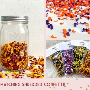 Custom Collegiate Confetti- School Colors, School Mascot, School Logo ...
