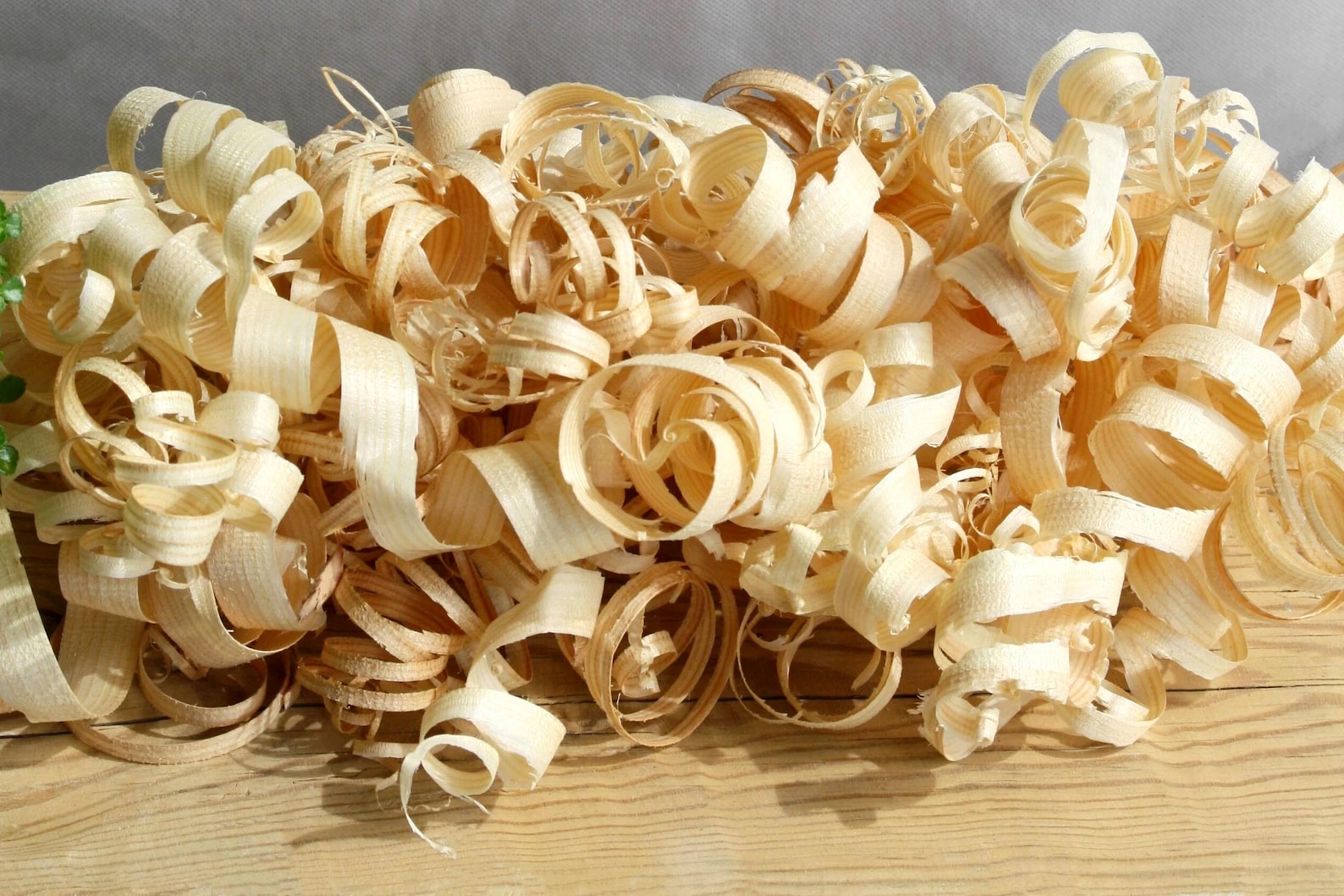 Wood Shavings Natural Curls for DIY Crafts, Home Decor, Art Projects ...
